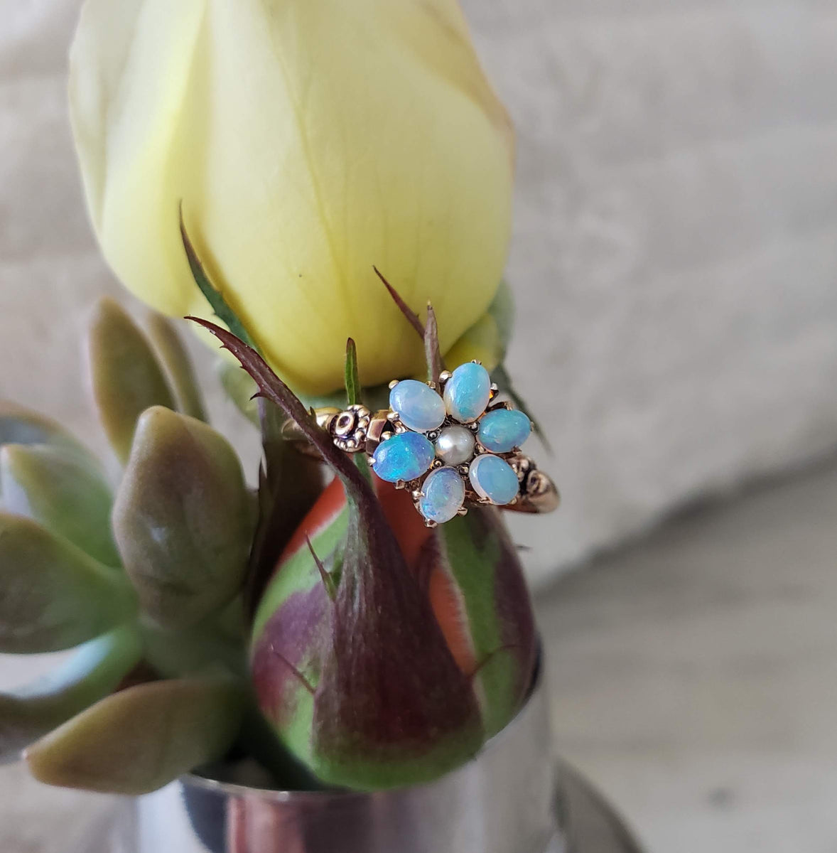 Victorian – Rambling Rose