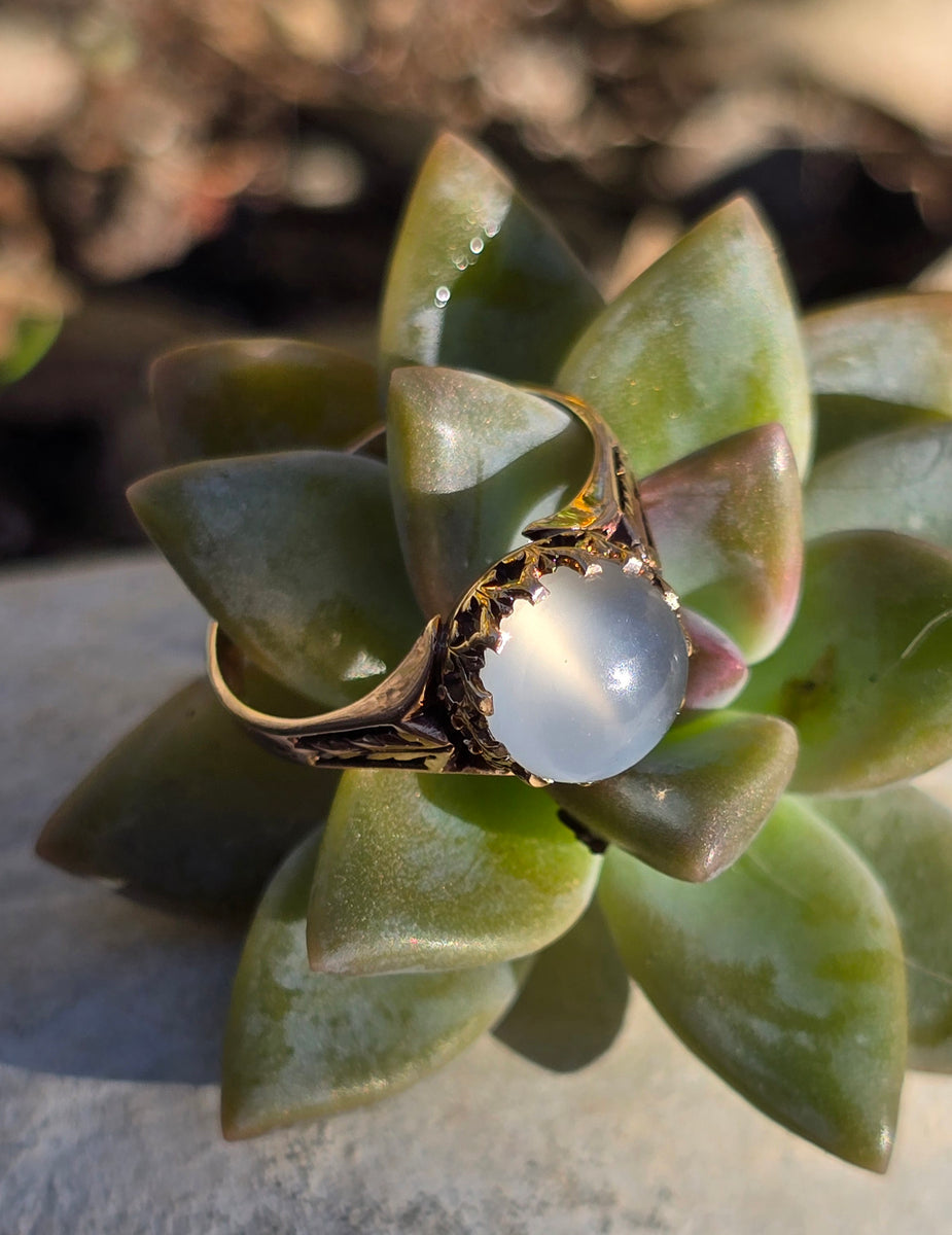 14k gold Victorian cat's eye moonstone antique ring – Rambling Rose