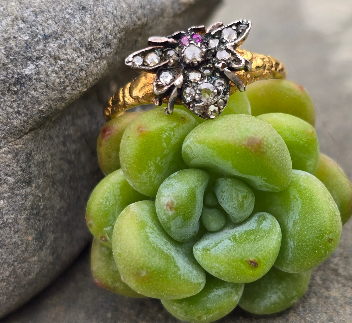 silver top & `15ct gold ruby & diamond FLY ring HOLD – Rambling Rose